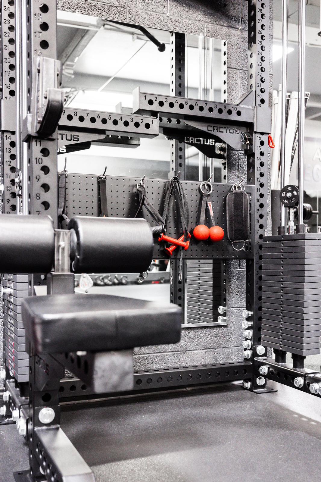 Commercial Gyms – Cactus Fitness Equipment